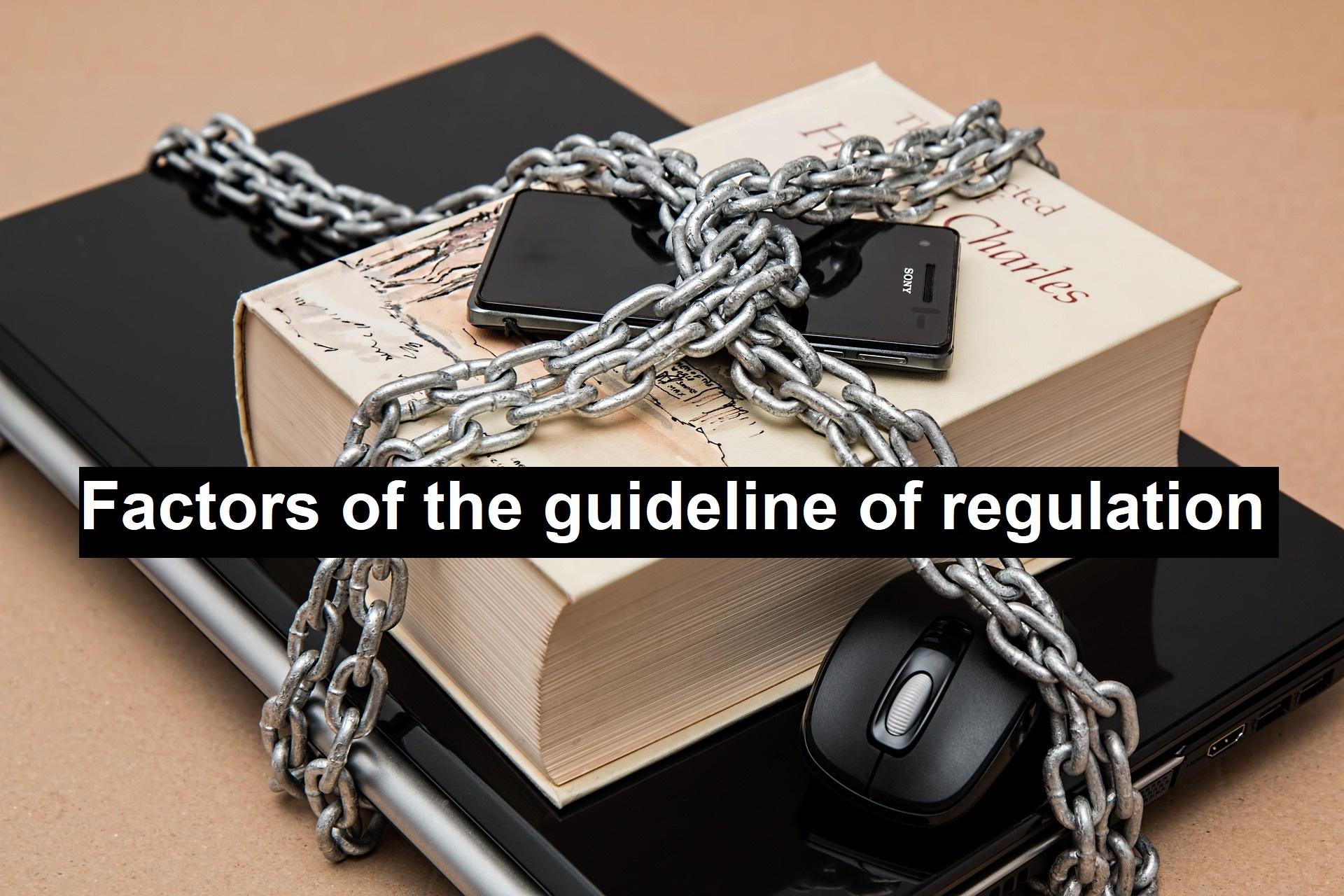 Factors of the Guideline of Regulation - Lawful Voice